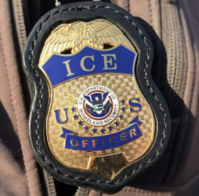Successfully Navigating ICE Enforcement: 3 Key Preparations | Red Flag ...